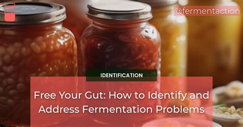 Free Your Gut How To Identify And Address Fermentation Problems