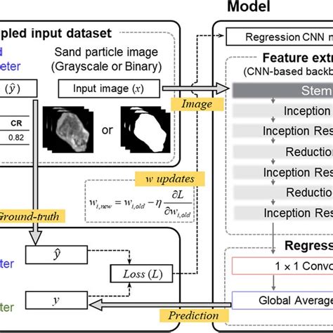 architecture of the regression cnn model using transfer learning for