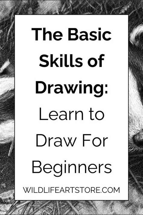The Basic Skills Of Drawing Learn To Draw For Beginners In 2025