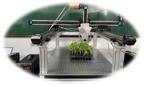 Diagram Of A Automatic Transplanter And B Plug Tray Seedlings Sample Download Scientific