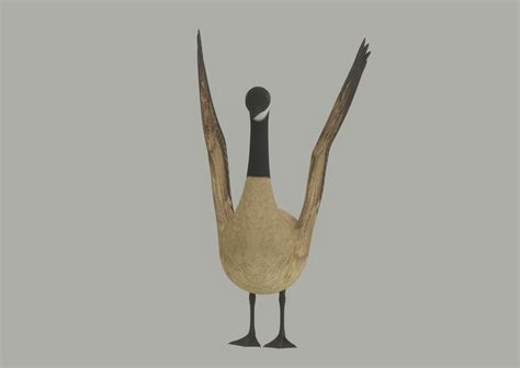 3d Goose Model Turbosquid 2198837