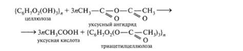 целлюлоза что это простыми словами такое