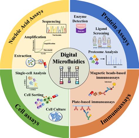 Xing Xu Linfeng Cai S Paper Accepted By Lab Chip News Yang S Lab