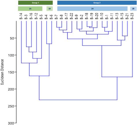 Dendrogram Derived From Unweighted Paired Group Average Between 23 Download Scientific Diagram