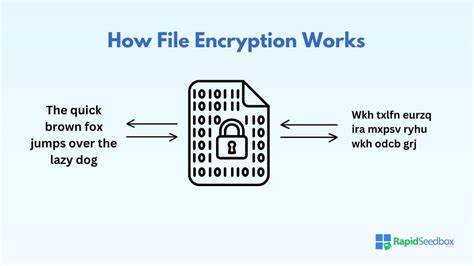 Does A Proxy Encrypt Data Rapidseedbox
