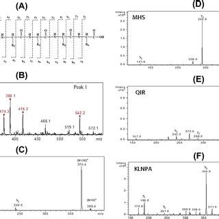 PDF High Performance Liquid Chromatography HPLC Fingerprints And Primary Structure