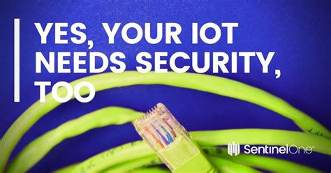 Yes Your IoT Needs Security Too