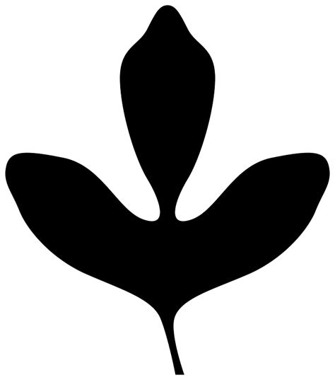 Sassafras Leaf Free Vector Silhouettes On