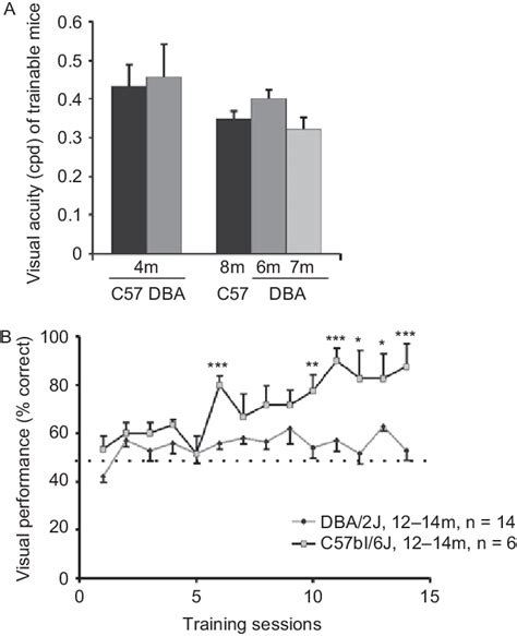 Young Dba 2j Mice Have Normal Visual Acuity And The Decreasing Of Download Scientific Diagram