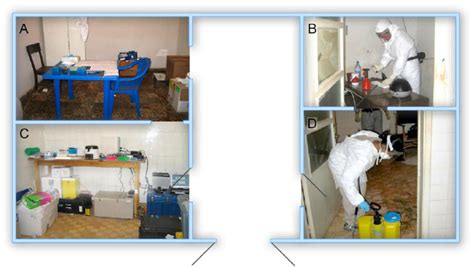 Laboratory Set Up And Procedures Laboratory Space Was Made Available Download Scientific