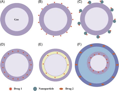 A Encapsulating Gases Within The Bubble Core B Linking The Drugs Download Scientific