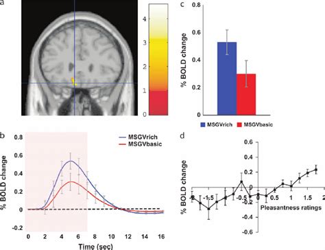 A The Medial Orbitofrontal Cortex Was More Strongly Activated When