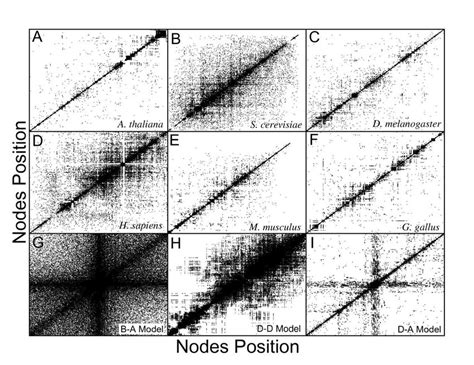 Figure S3 Association Matricesa Arabidopsis Thalianab Download Scientific Diagram