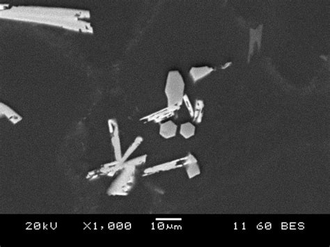 4 Typical Sem Microstructure Of Al Si Cu Mg Alloy Ma4 Modified With Download Scientific