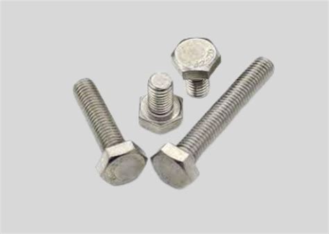 316 Stainless Steel Marine Grade Screw Supplier Check Price And Size