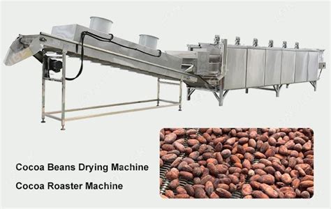 Continuous Cocoa Beans Drying Machine Cacao Roaster Lg Hlg8