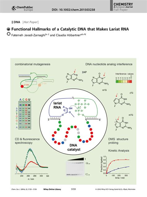 代表作：制造套索rna的催化dna的功能特点 Chemistry A European Journal X Mol