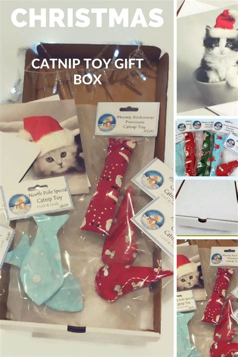 The New Pretty Kitty Cat Ts Catnip Toy Selection Box Toys T Catnip Toys Cat Ts