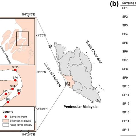 Pdf Occurrence Abundance And Distribution Of Microplastics Pollution An Evidence In Surface
