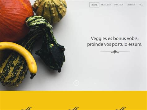 20 Grocery Store Html Css Templates Free Download