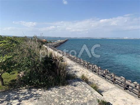 浜漁港緑地公園 浜比嘉島 沖縄県 No 22470398｜写真素材なら「写真ac」無料（フリー）ダウンロードok