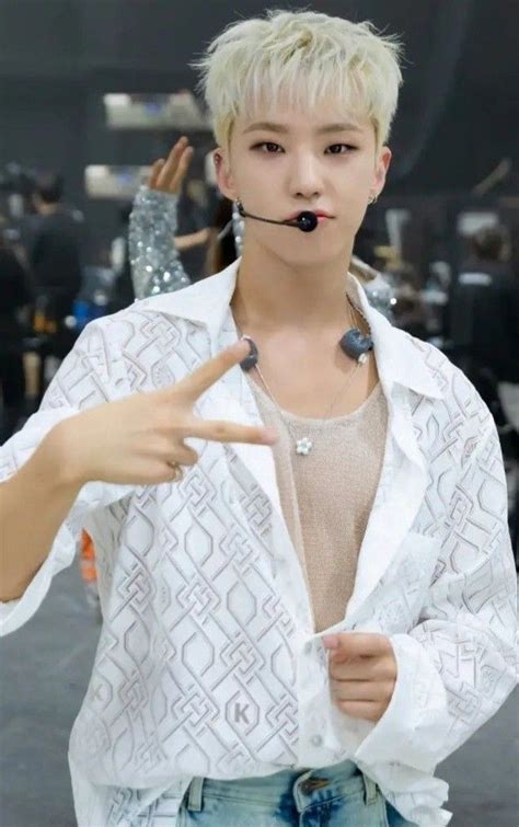 Pin By Mlyssa On Seventeen Hoshi Seventeen Seventeen Hoshi