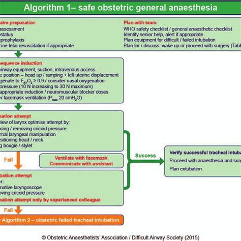 Oaa Das Algorithm 1 Safe Obstetric General Anaesthesia Who World Download Scientific Diagram