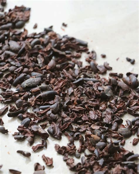 Cacao Nibs V Our Pure Cacao Nibbed Cacao