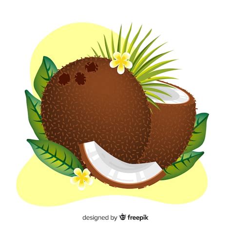Free Vector Hand Drawn Coconut Illustration