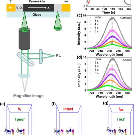 A Schematic Illustration Of The In Situ Pl Characterization With Download Scientific Diagram