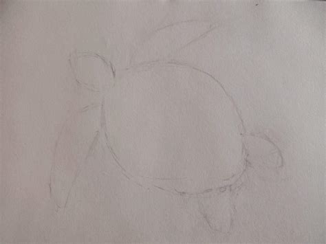 2 Realistic Sea Turtle Drawing Sketching Ideas For Artists The Turtle Hub