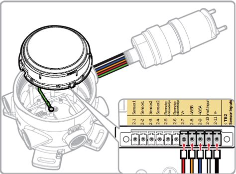 What Is The Omnipoint Display Module Layout For Wiring Sensors And Hart