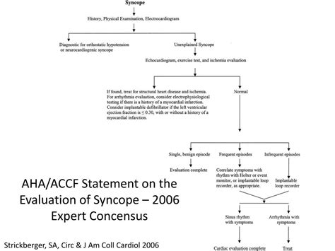 Ppt Syncope Powerpoint Presentation Free Download Id 1550470
