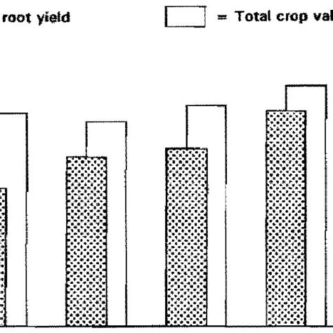 Effect Of Cassava Pant Spacíng On Average Cassava Root Yíeld As Well As Download