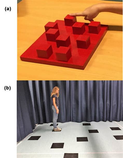 a the corsi block tapping test cbt consists of nine blocks 4 5 ×