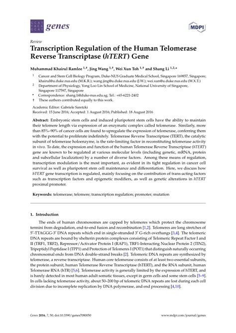 Pdf Transcription Regulation Of The Human Telomerase Reverse Transcriptase Htert Gene