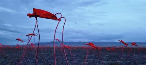 Checkmn Далны ясны сийлбэрч ТБаттогтох дэлхийн 7