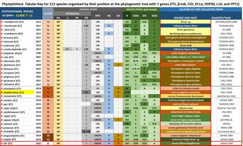 Phytophthora Mediterranea Idphy