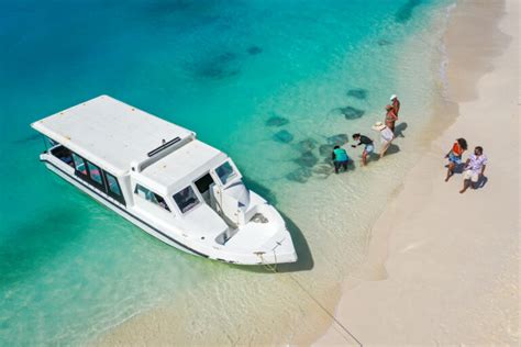 Fulidhoo Island Guide Shark And Stingray Beach In Maldives