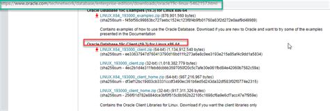 devops series deployment of oracle database 19c client 19 3 for