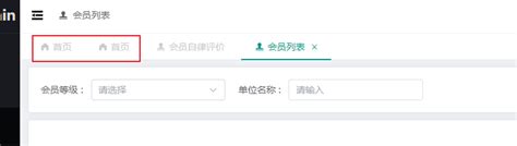 会出现两个tabs把缓存都清了还是存在但放置一段时间再刷新又好了 Issue HalseySpicy Geeker Admin GitHub
