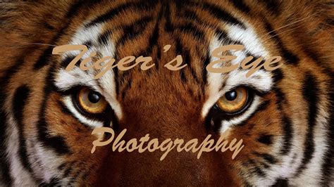 Isaac Fenter Photography Added Isaac Fenter Photography