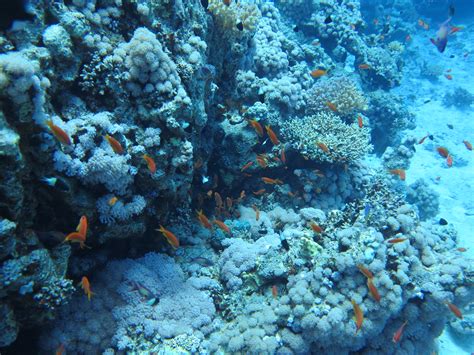 Img2036 Anna Kostecka Flickr