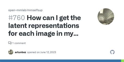 How Can I Get The Latent Representations For Each Image In My Custom Dataset Using The Extracted
