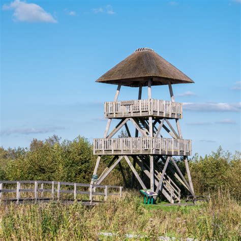 Plattegrond Van Het Park Summio Vakantiepark It Wiid