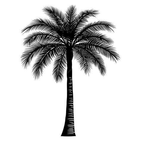 Premium Vector Silhouette Palm Dates Black Color Only