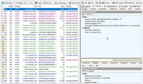 how to use fiddler to troubleshoot issues mo s blog security and stuff