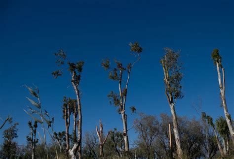 UV Filter Should You Use One On Your Camera Lens PetaPixel