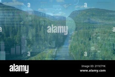 Data Analytics And Graphs Animation Over Lush Green Forest And Winding