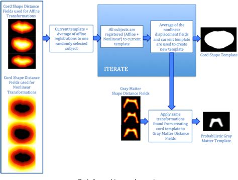 Table 1 From Gray Matter Segmentation Of The Spinal Cord With Active Contours In Mr Images